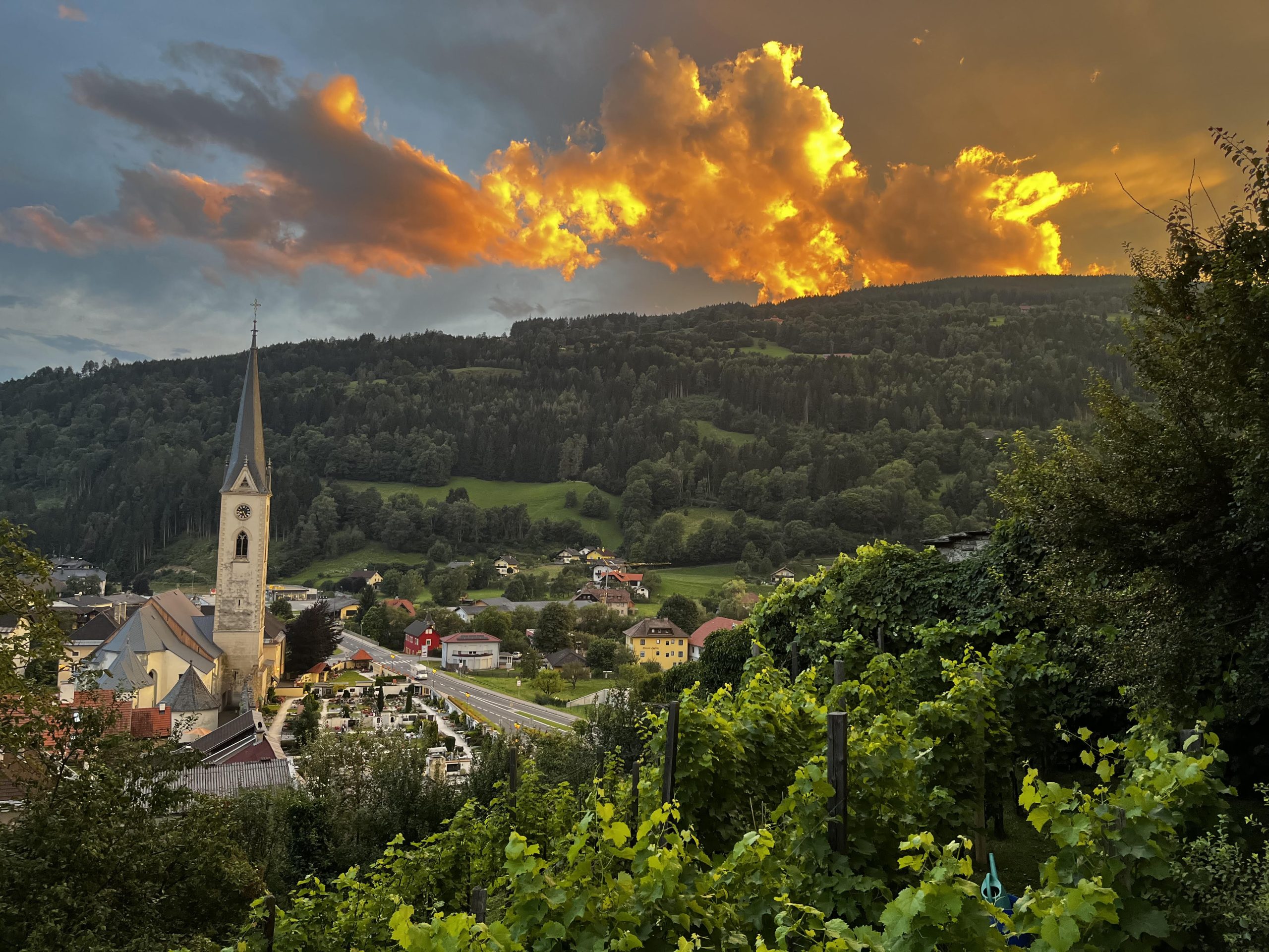 Saisonstart 2025 – Weinheit